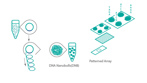 Revolutionize Your NGS Workflows - triolab.no
