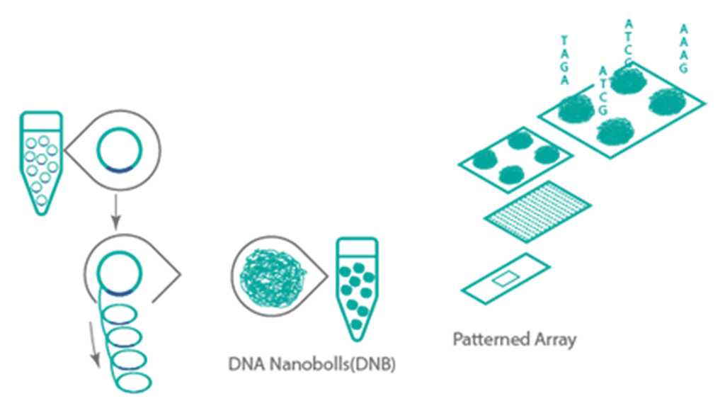 Revolutionize Your NGS Workflows - triolab.no